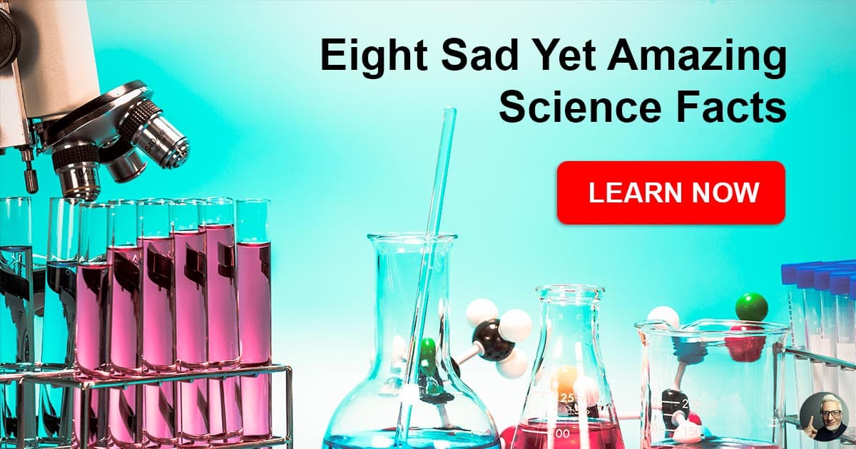 What Are The Most Fascinating Science Facts QuizzClub what-are-the-most-fascinating-science-facts-quizzclub