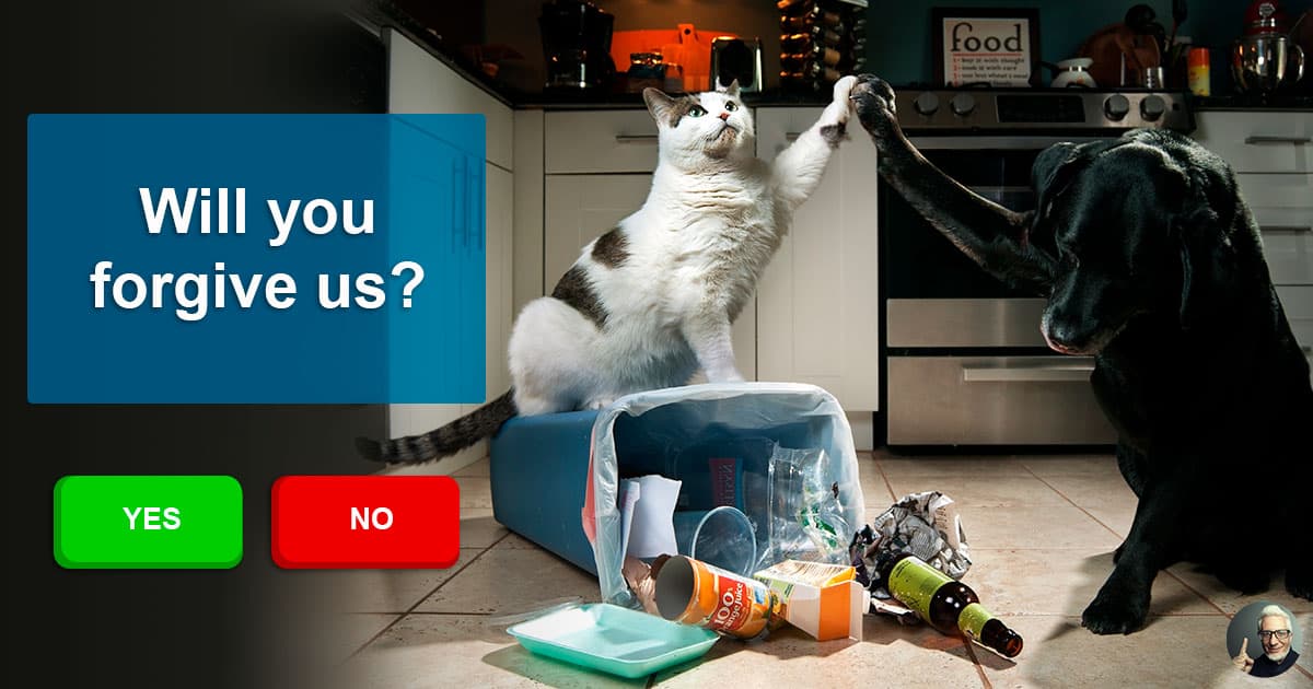 These funny pictures of guilty animals will... | QuizzClub
