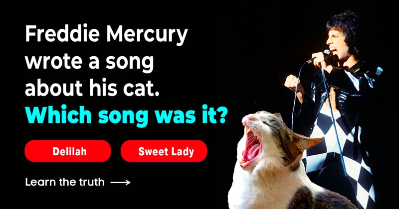 4 Facts About The Legendary Freddie Mercury QuizzClub 4-facts-about-the-legendary-freddie-mercury-quizzclub