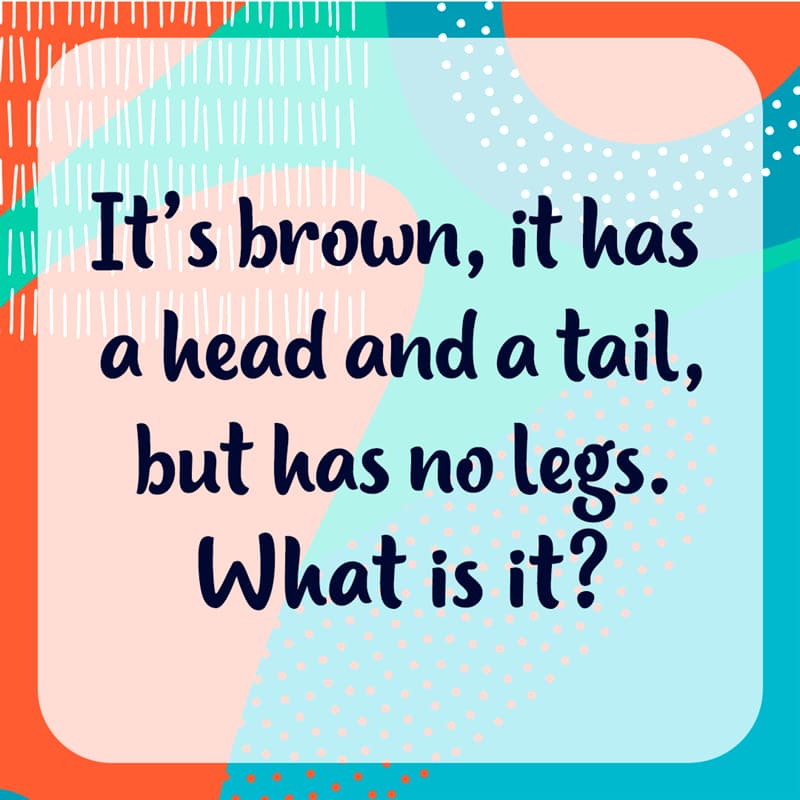 10 New Hilarious Riddles To Test Your Smarts QuizzClub 10-new-hilarious-riddles-to-test-your-smarts-quizzclub