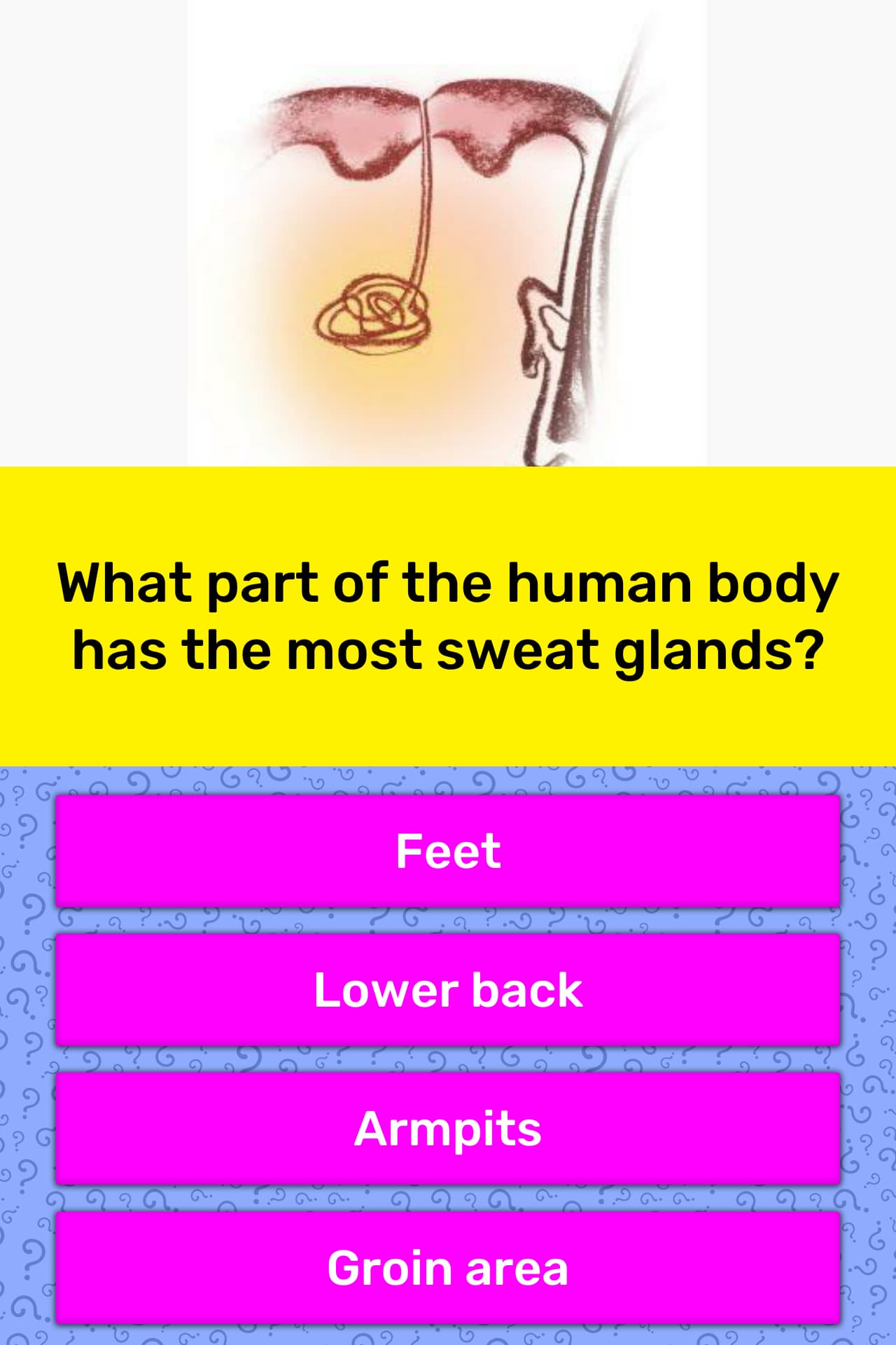 What Part Of The Human Body Has The Trivia Answers QuizzClub what-part-of-the-human-body-has-the-trivia-answers-quizzclub