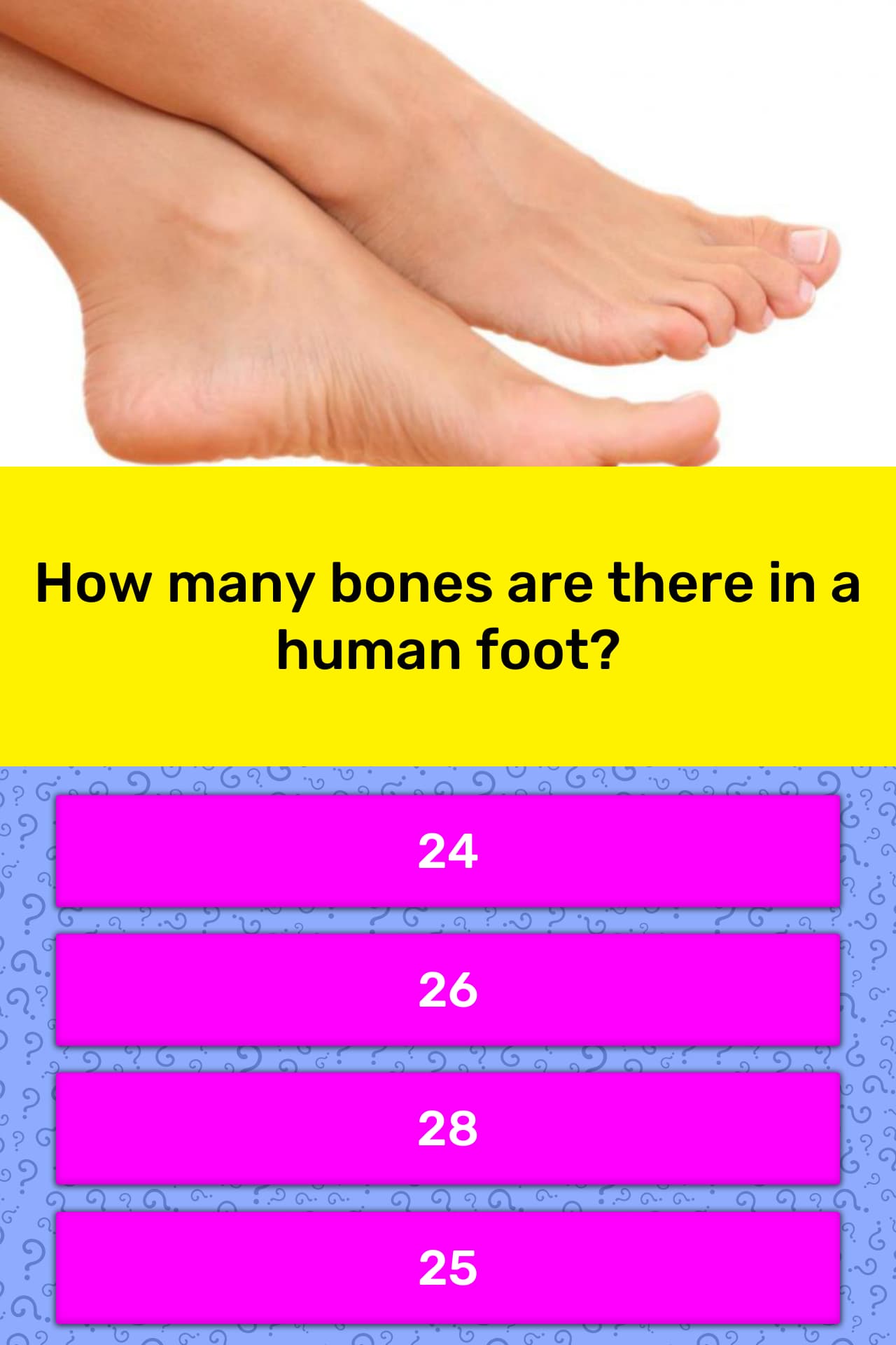 How Many Bones Are There In A Human Trivia Questions QuizzClub