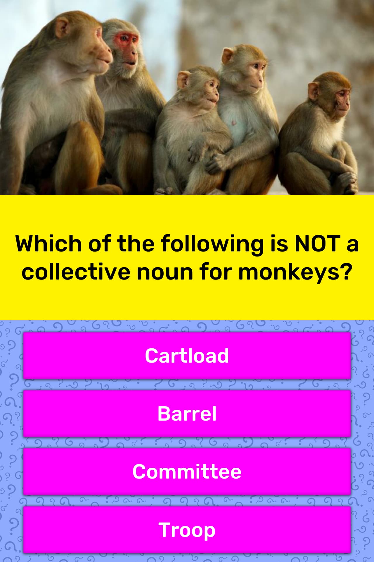 Which Of The Following Is NOT A Trivia Answers QuizzClub Which Of The Following Is NOT A Trivia Answers QuizzClub