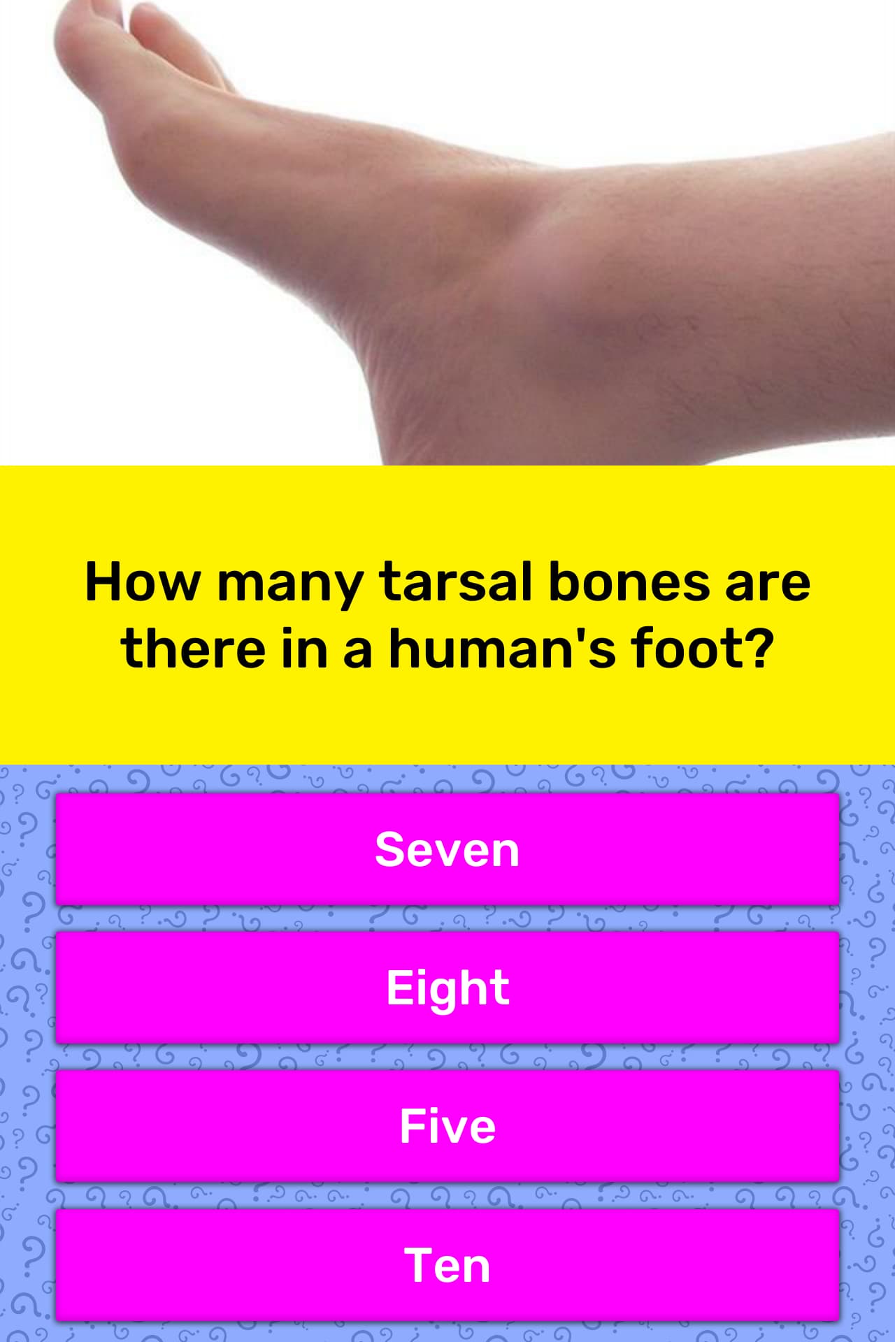How Many Tarsal Bones Are There In A Trivia Questions QuizzClub