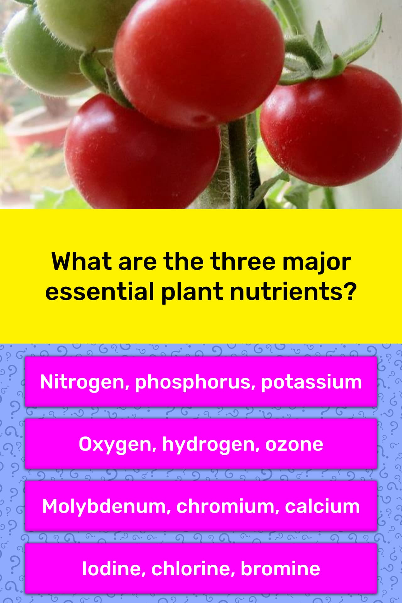what-are-the-three-major-essential-trivia-answers-quizzclub