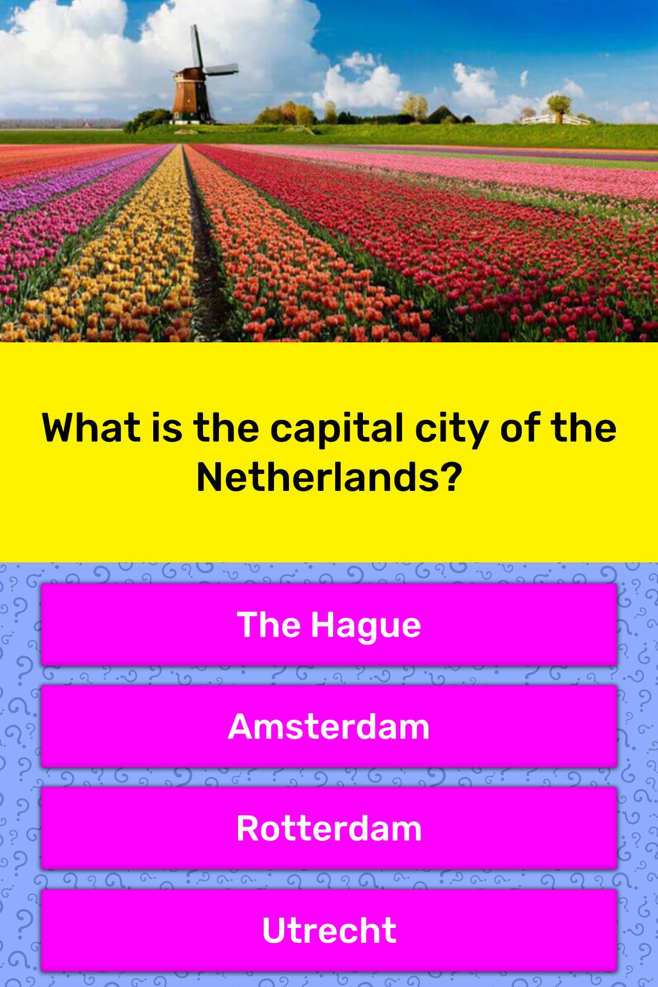 What Is The Capital City Of The Trivia Questions QuizzClub what-is-the-capital-city-of-the-trivia-questions-quizzclub