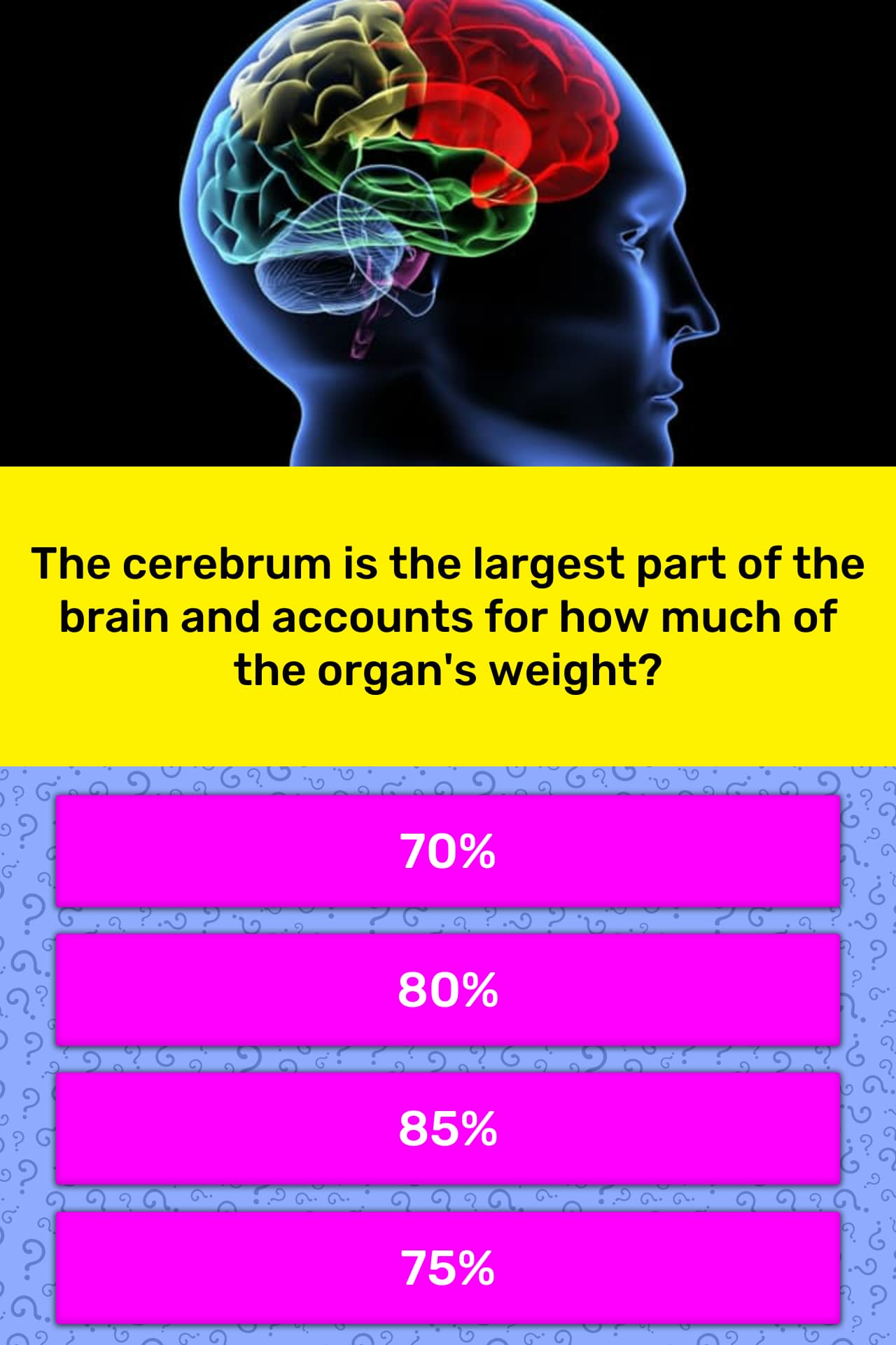 The Cerebrum Is The Largest Part Of Trivia Answers QuizzClub