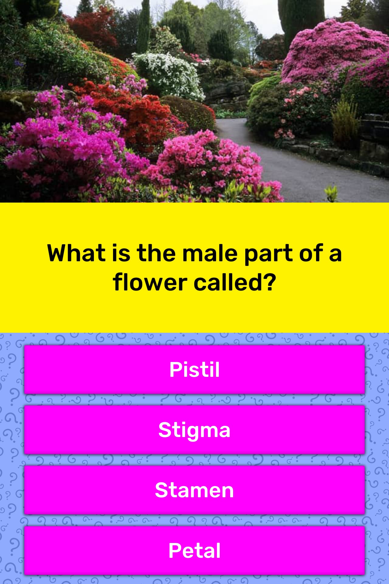 What Is The Male Part Of A Flower Trivia Answers QuizzClub