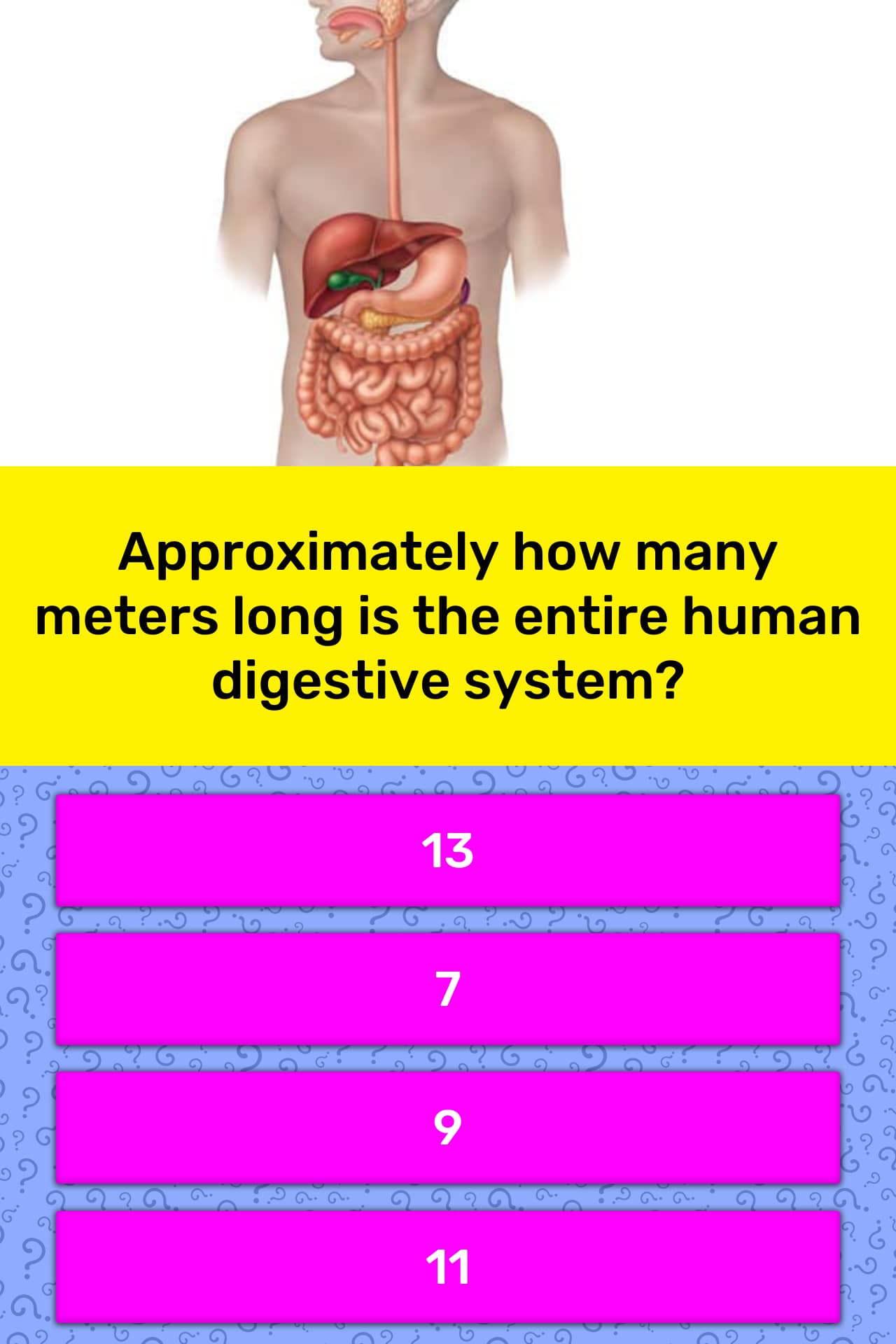 Approximately How Many Meters Long Trivia ions QuizzClub