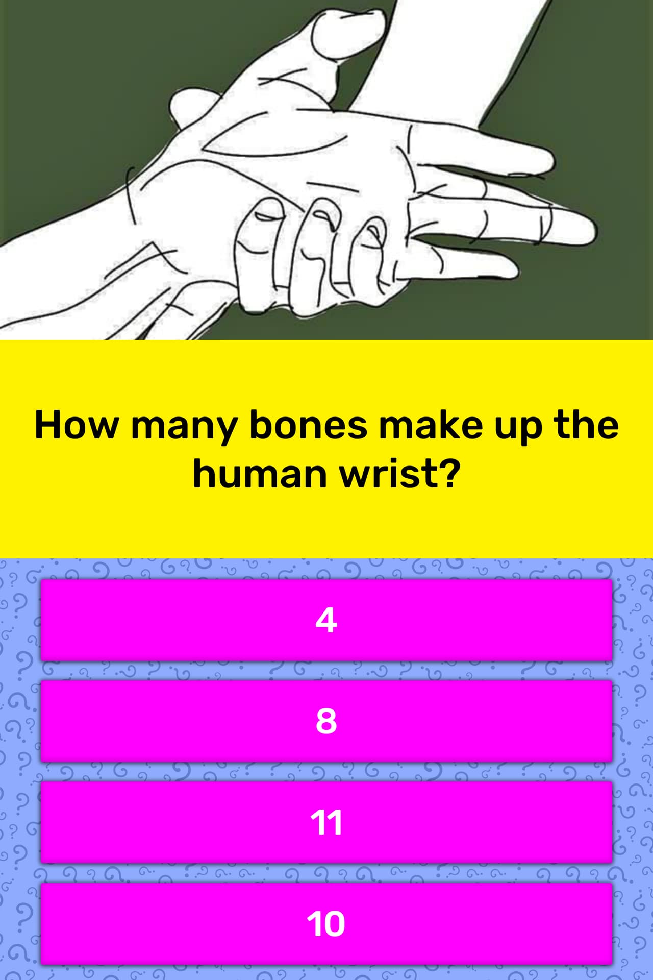 How Many Bones Make Up The Back Bone Parts Of The Chest Bones For