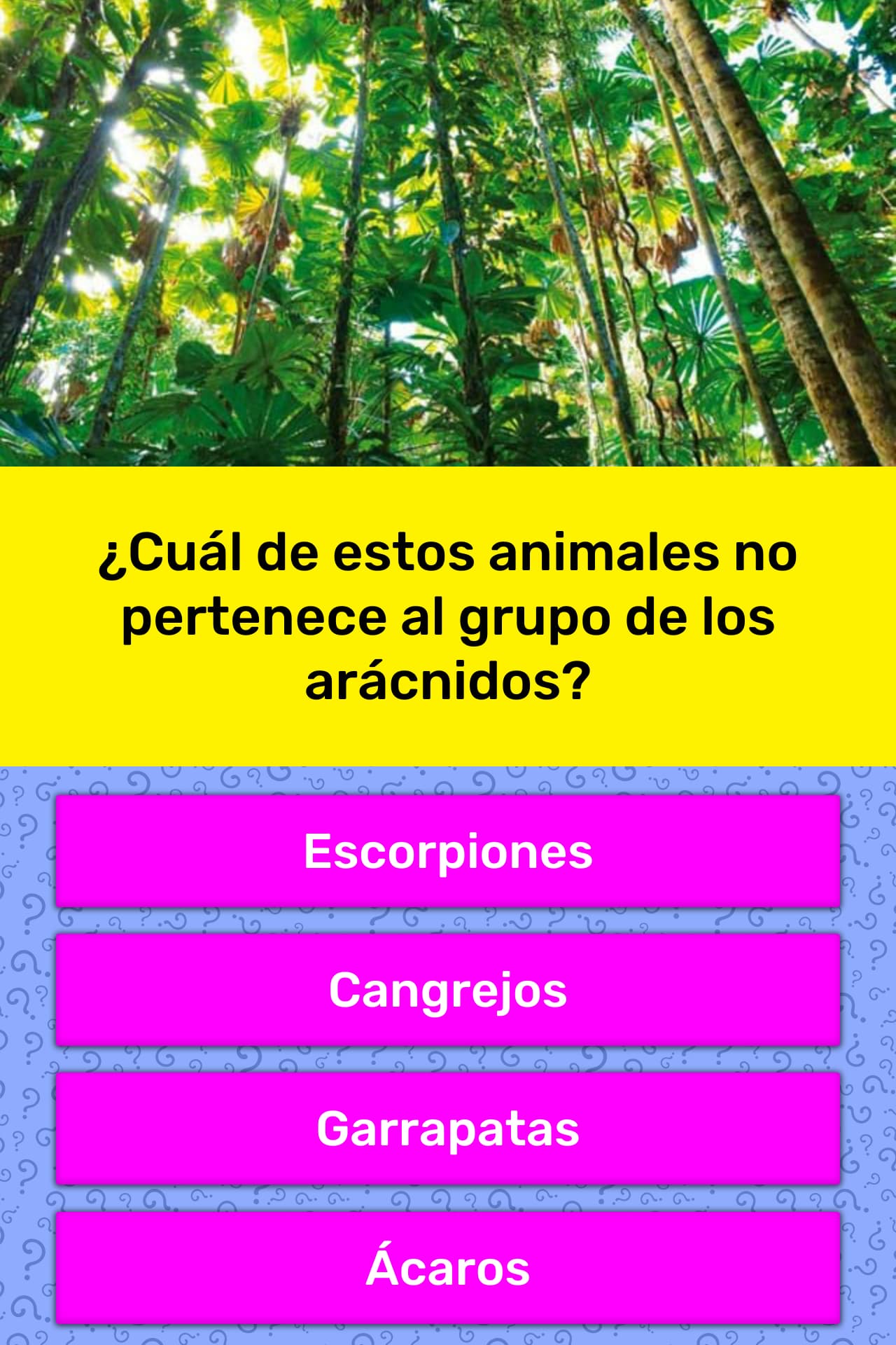 ¿Cuál de estos animales no pertenece... | La respuesta de Trivia