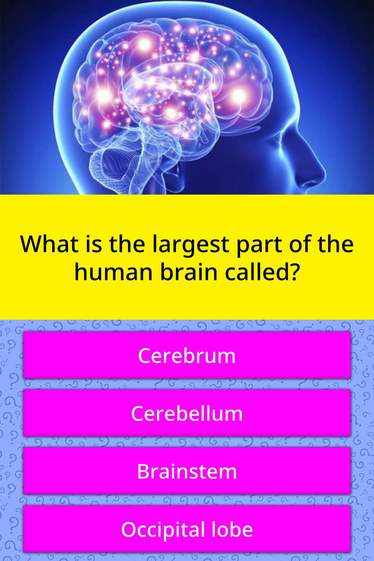 What Is The Largest Part Of The Trivia ions QuizzClub