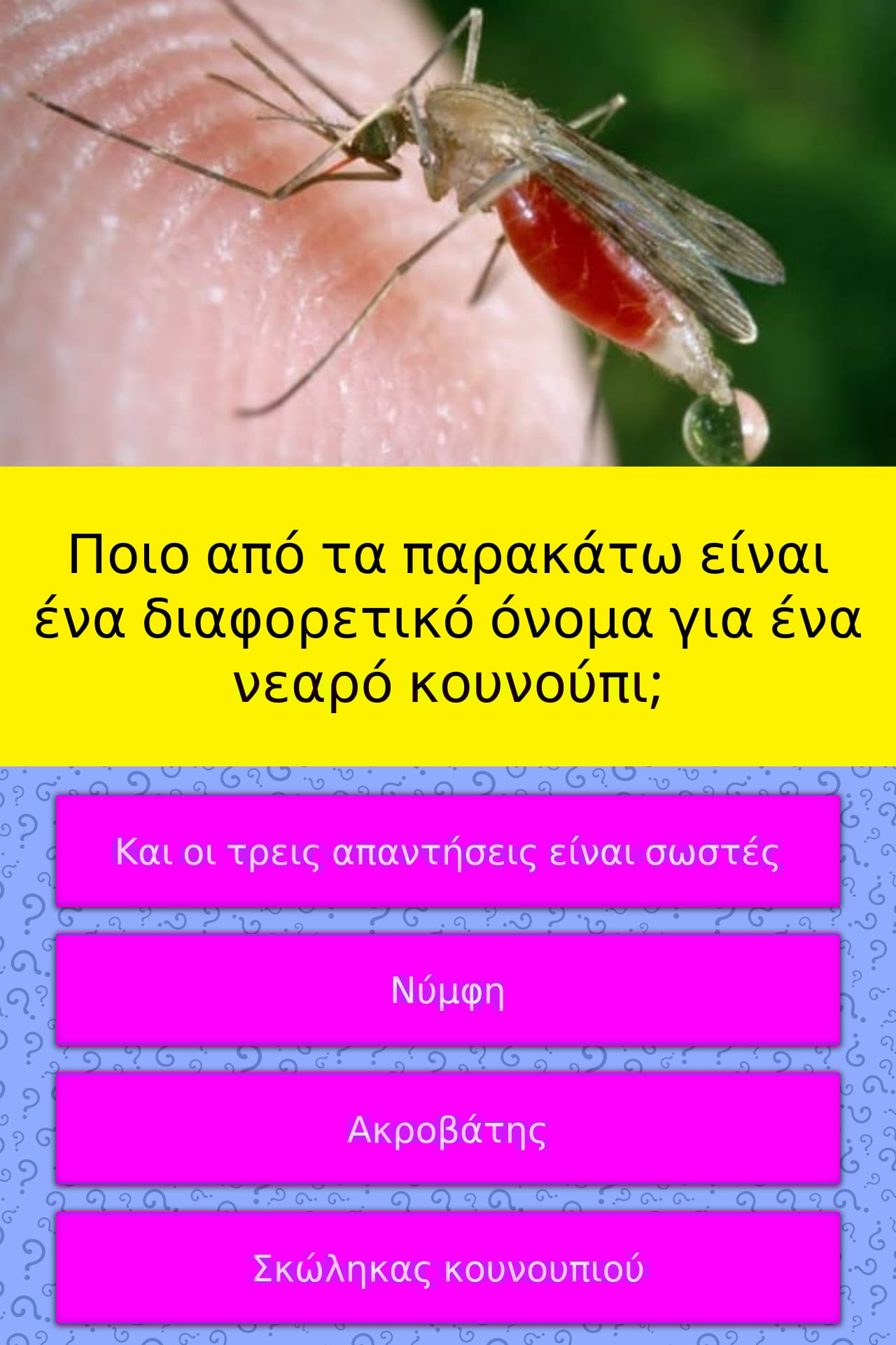 what-is-another-name-for-a-young-trivia-ions-quizzclub