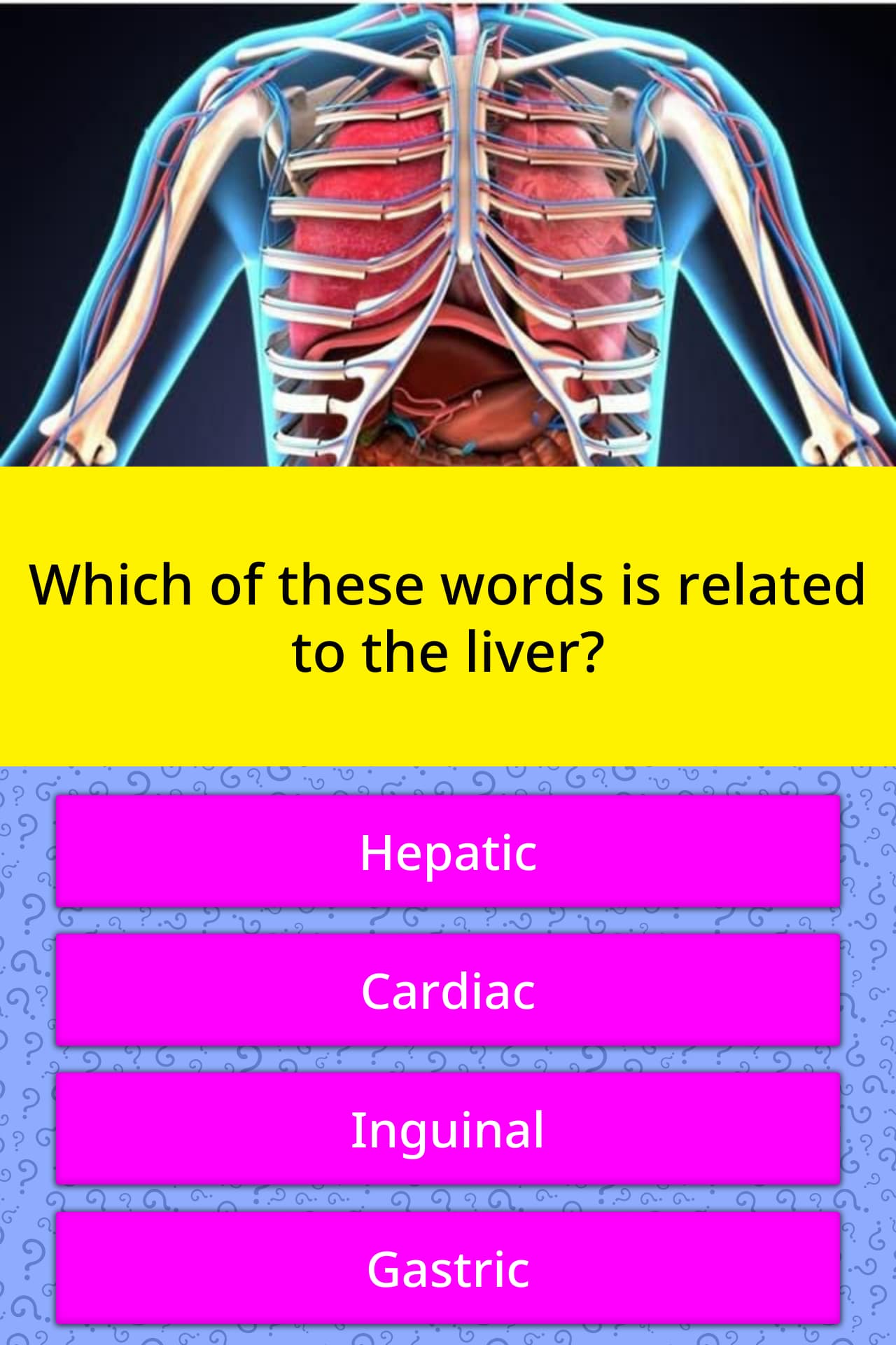 Which Of These Words Is Related To Trivia Questions QuizzClub