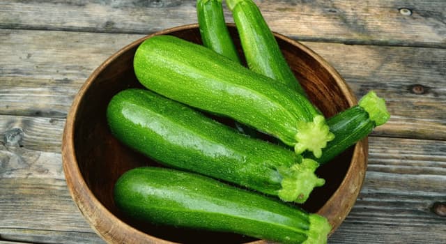 What Is Another Name For Zucchini Trivia ions QuizzClub