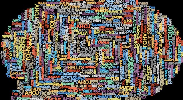 Language Isolate